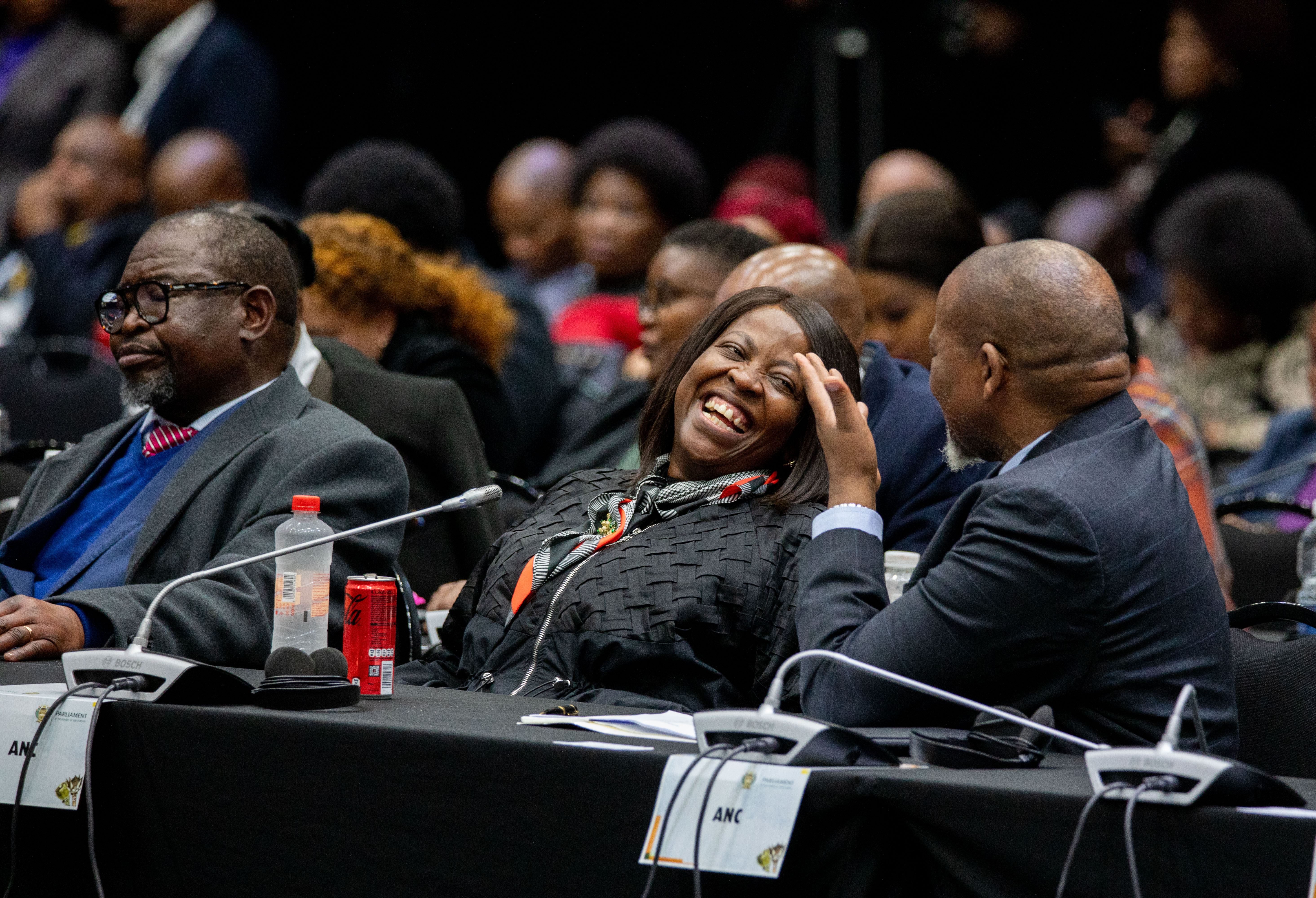 Photo Gallery - Parliament of South Africa